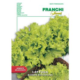 Sementi Franchi - Lattuga Bionda Ricciolina